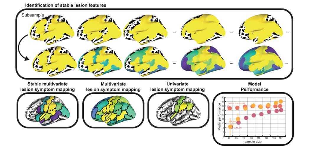 Stable multivariate lesion symptom mapping | Published in Aperture Neuro