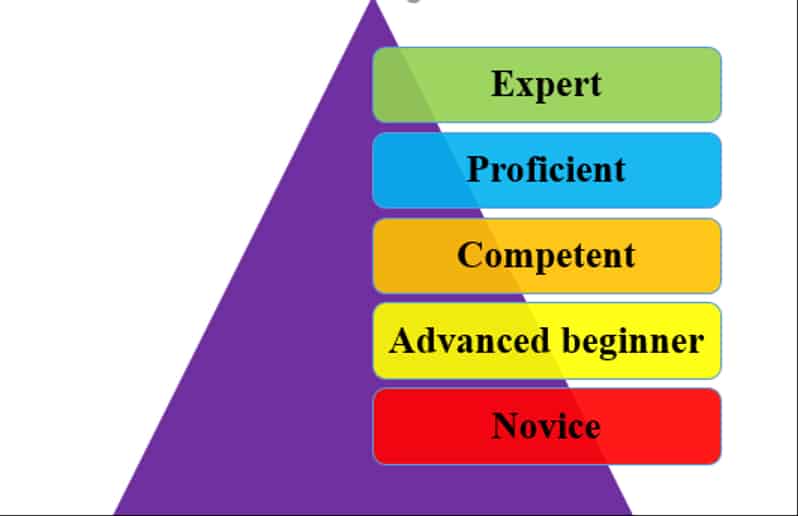 The Brilliance, Attitude, Leadership and Materials (BALM) framework of ...