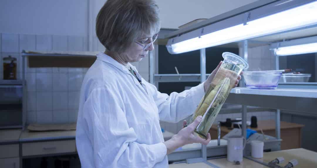 Fish Welfare – A Case Study: Reviling for the first-time side effects ...