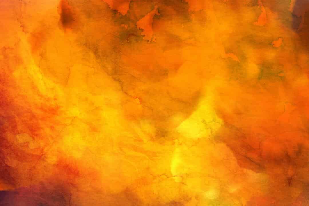 A 29-year-old man with bilateral polyorchidism and testicular ...