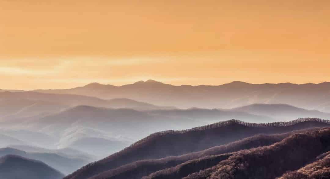 The Camden Chert of Tennessee and Its Lower Oriskany Fauna | Published ...
