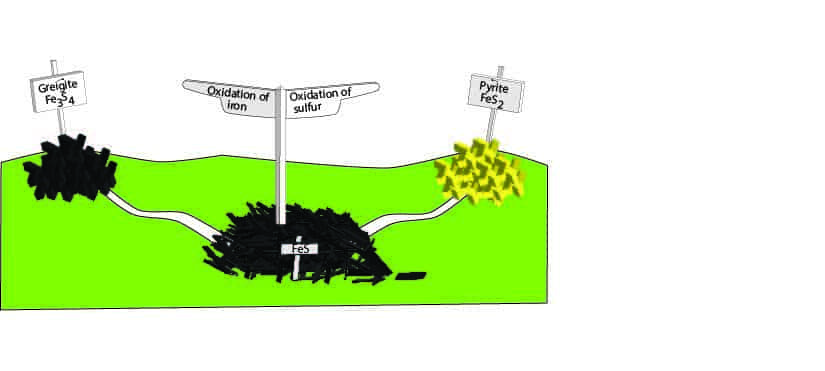 Sedimentary Greigite Formation | Published in American Journal of Science