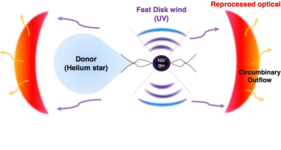 Merger Precursor: Year-long Transients Preceding Mergers of Low-mass ...