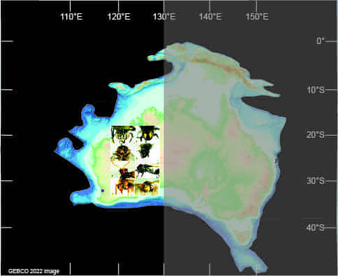 Preliminary New Study Indicates Possible Dramatic Decline in the ...