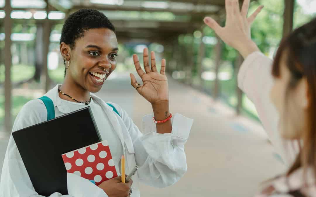 Exploring University Student Mental Health and Wellbeing Through a Low ...