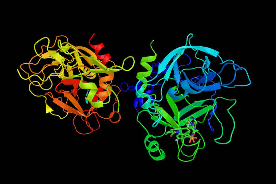 Factor Xa Inhibitor Dosing in Postoperative Joint Replacement Patients ...