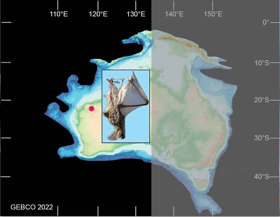 A Critical Review of Survey Techniques and Perceived Threats for the ...