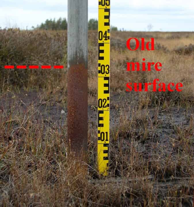 Increased decomposition of subsurface peat in Swedish raised bogs: are ...