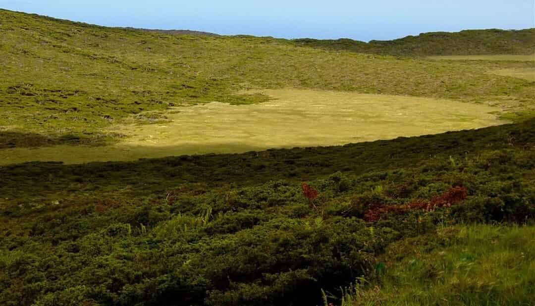 Characterisation of a Basin Mire in the Azores Archipelago | Published ...