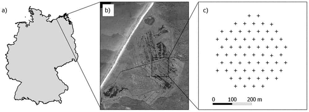From Meadow to Shallow Lake: Monitoring Secondary Succession in a ...