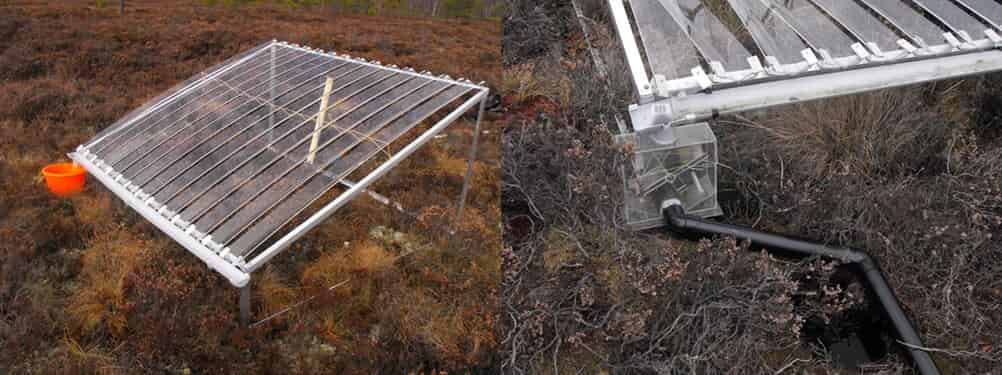 Soil CO~2~ Efflux in a Degraded Raised Bog Is Regulated by Water Table ...