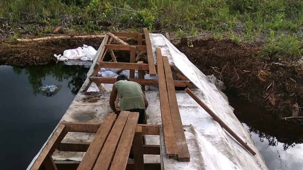 Community Perceptions of Peat Rewetting in Tumbang Nusa Village ...