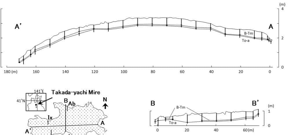 Millennium-scale Changes in Mire Vegetation Reconstructed From Plot ...