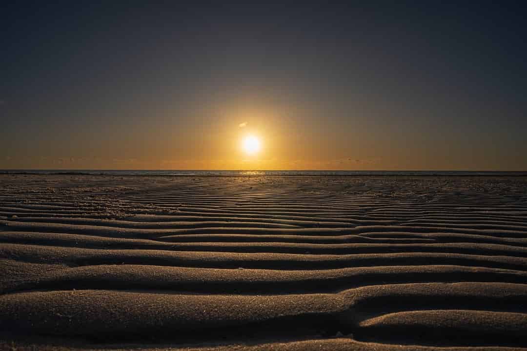 Comment on ‘an Overview of the Patterned Fens of Great Sandy Region ...