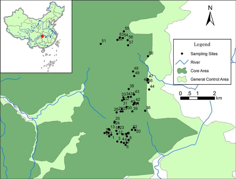 Peat Swamp Biodiversity in the Qizimei Mountain National Nature Reserve ...