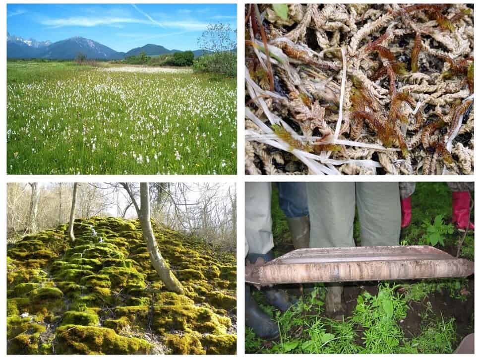 On the Hydrological Relationship Between Petrifying-springs, Alkaline ...