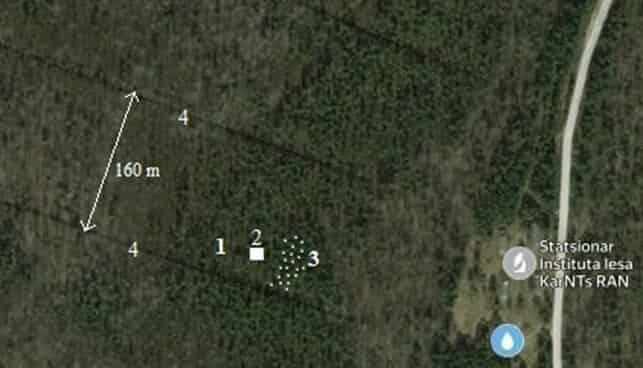 Changes in Plant Cover of a Mire in Southern Karelia, Russia Over 50 ...