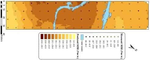 Spatial Heterogeneity of Soil Properties in Relation to Microtopography ...