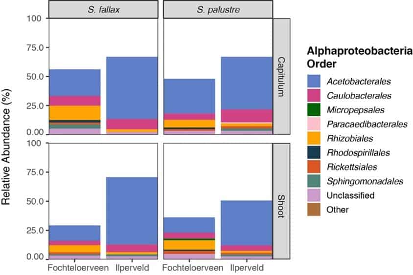 Functional Redundancy of the Methane-Oxidising and Nitrogen-Fixing ...