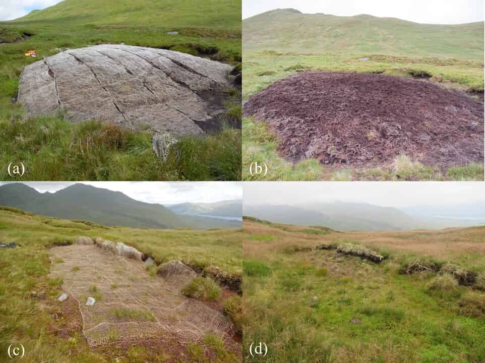 Revegetation of Upland Eroded Bare Peat Using Heather Brash and ...