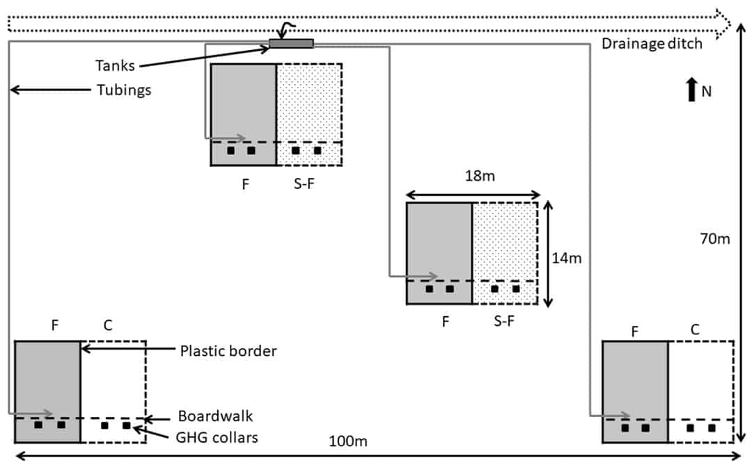Annual CO~2~ Fluxes From a Cultivated Fen With Perennial Grasses During ...