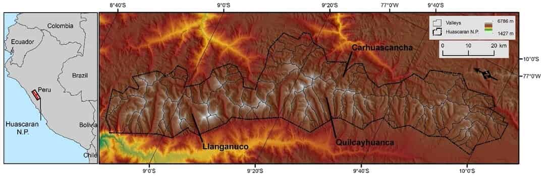 Vegetation of Andean Wetlands (Bofedales) in Huascarán National Park ...