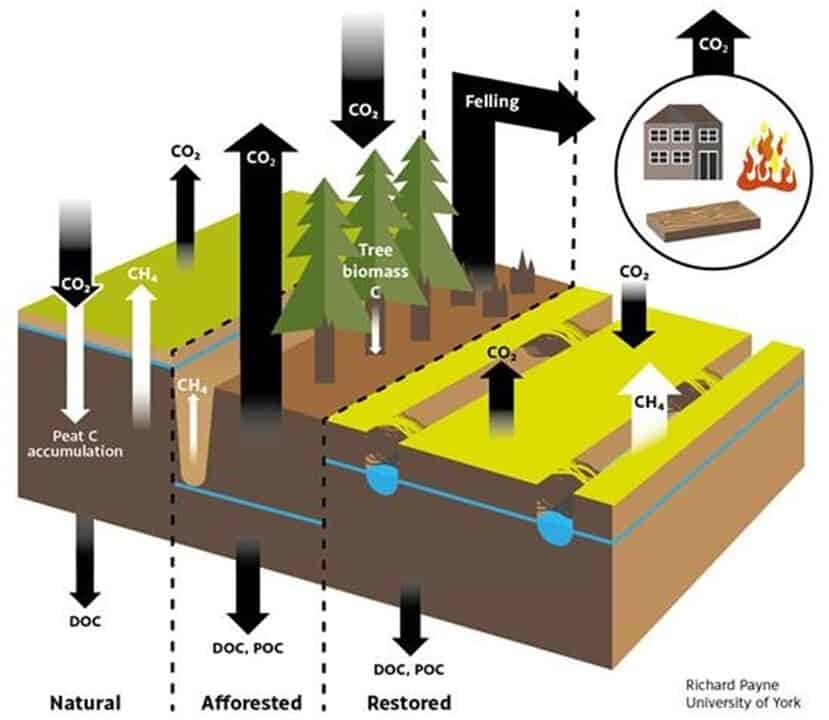 Community-identified Key Research Questions for the Future of UK ...