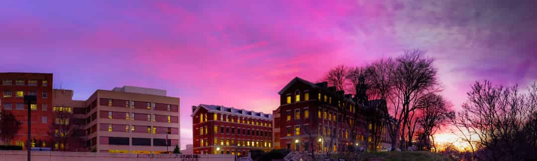 Hoya Saxa: An Interview with Dean Stephen Ray Mitchell | Published in ...