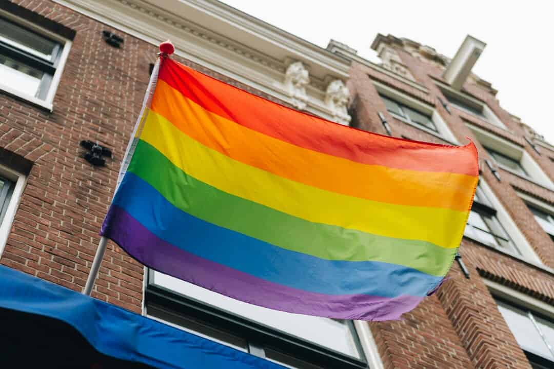 Exploring Biological Theories of Homosexuality: A Focus on the X ...