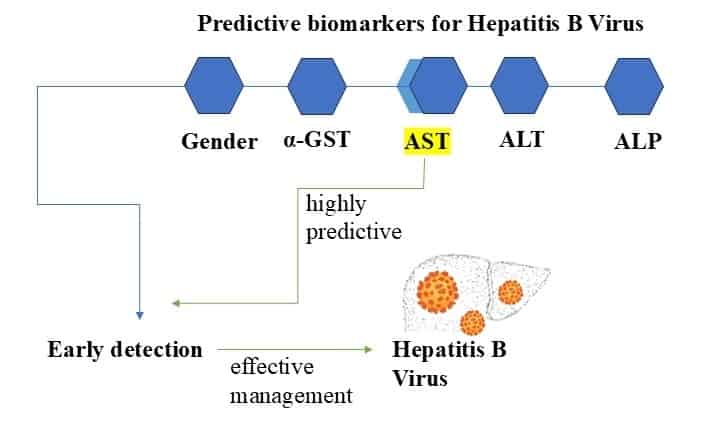 Development of a Predictive Model for Hepatitis B Virus (HBV) Status ...