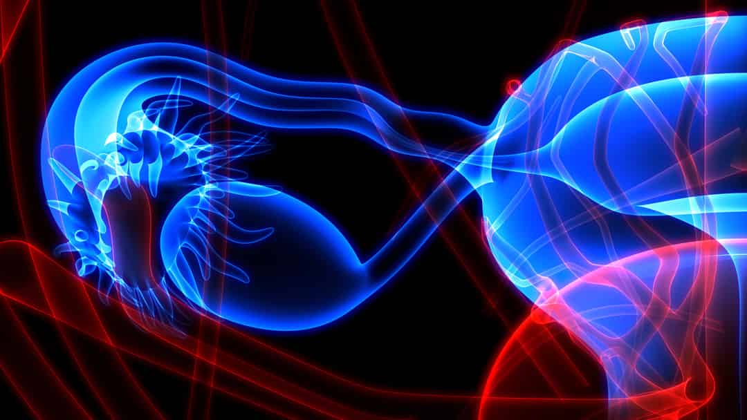 Artificial Intelligence in Reproductive Medicine: Transforming Assisted ...