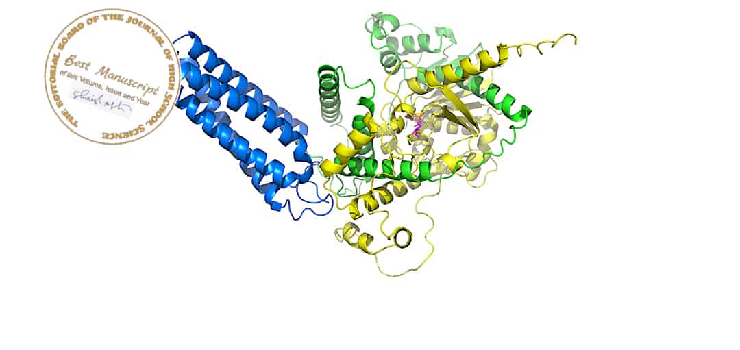 Future of protein structure modeling | Published in Journal of High ...