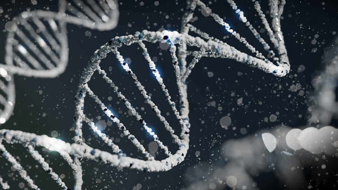 Case Report: Trisomy 22 with 80% Mosaicism | Published in North ...