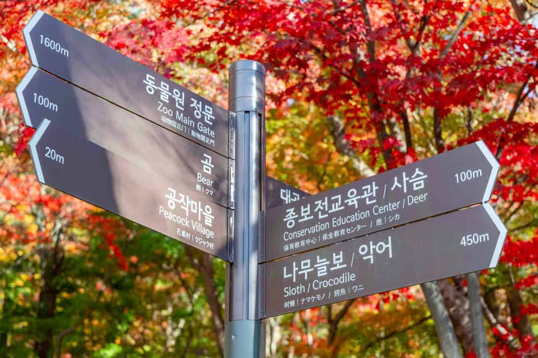 Measurement of Satisfaction with Stanford CHIPAO in a Virtual Format | Published in JAACAP Connect