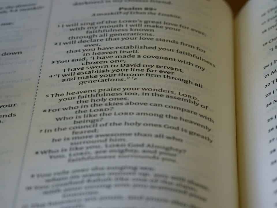 Consensus and Majority Statements Since 2000: Updated at the 2025 Life ...