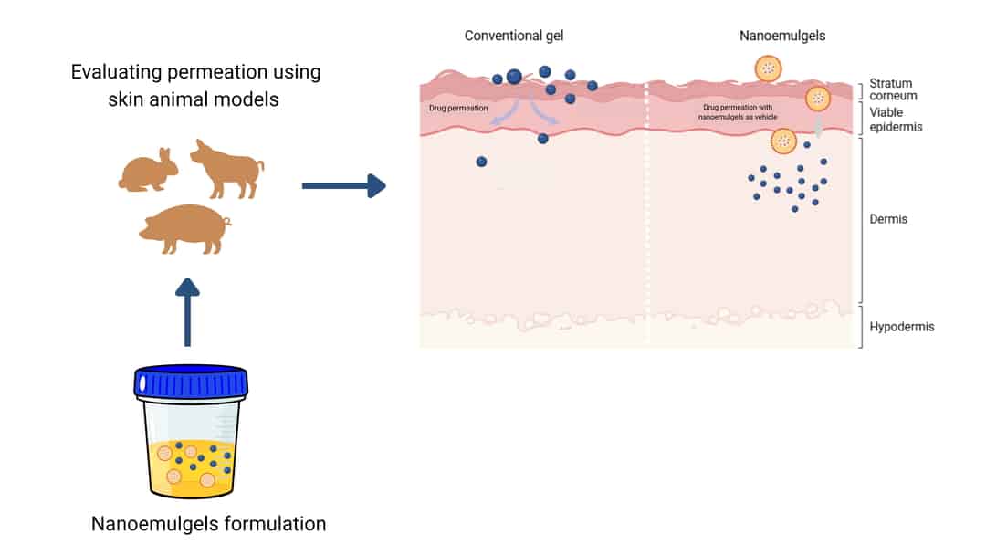 Skin Models for Nanoemulgel Permeation: An Overview of Current ...