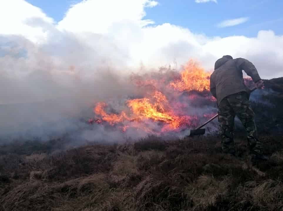 Prescribed Heather Burning on Peatlands: A Review of Ten Key Claims ...
