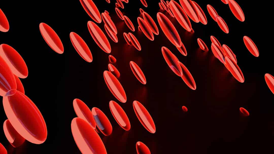 Qualitative Evaluation of Patient Experiences with Low-Load Blood Flow ...