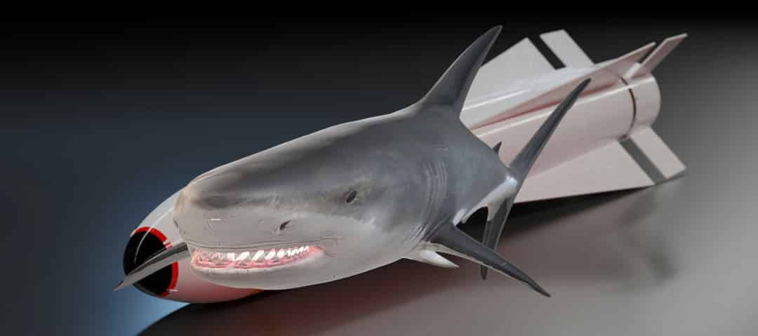 A multivariate investigation of bio-inspired geometries on rocket fins ...