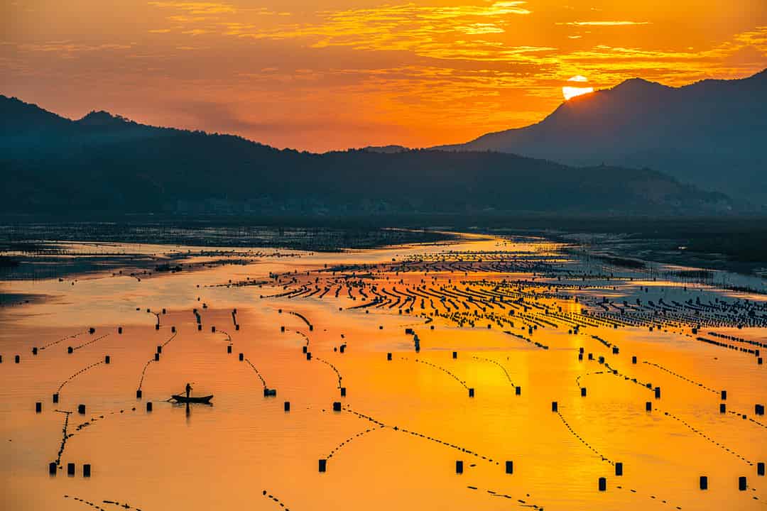 Resilience and Intentions of Fishermen Transitioning to Ecological ...