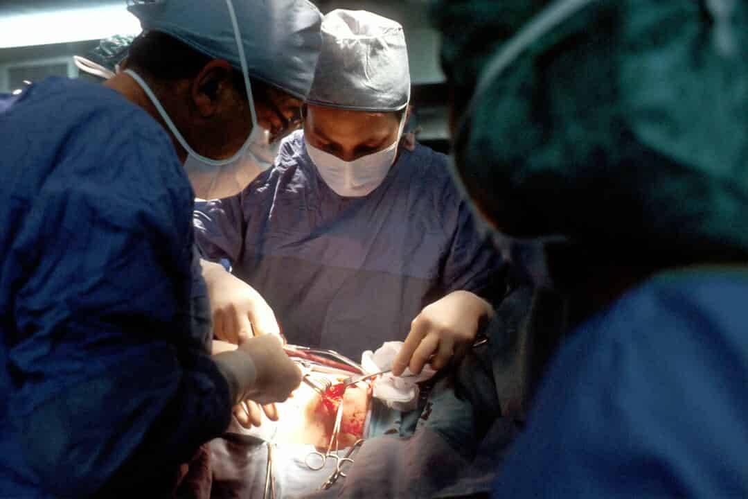 Time to Surgery and Early Outcomes in Neonatal Intestinal Atresia ...