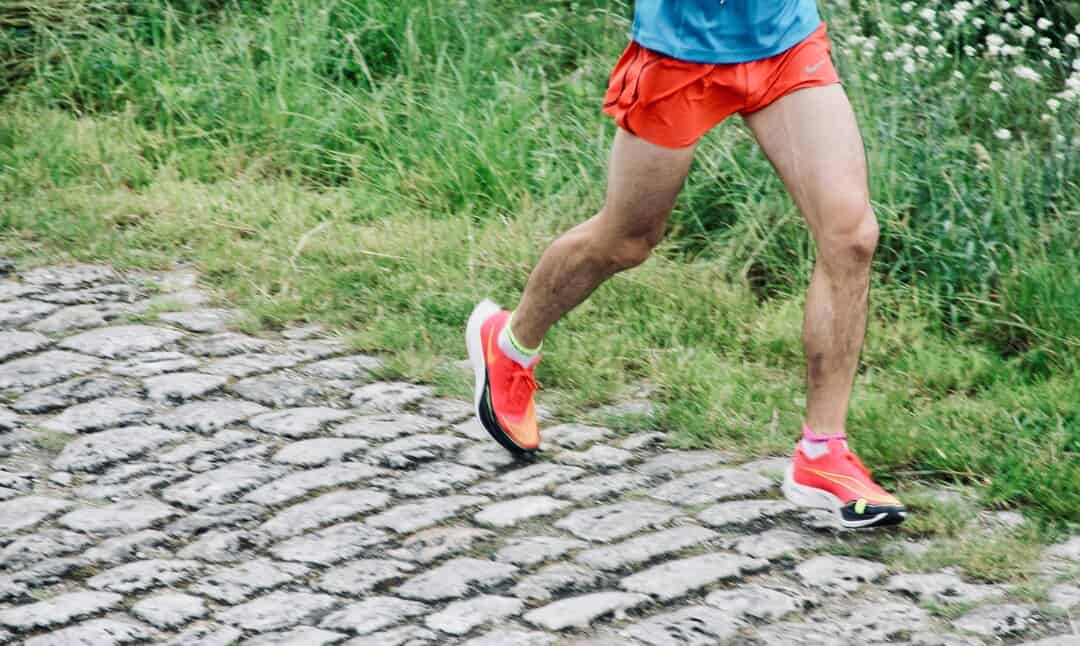 Test–retest Reliability of Biomechanical Measures and Clinical Pain ...