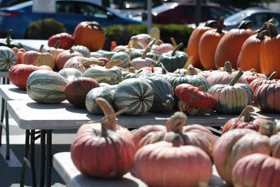 The Economic Impact of the Circleville Pumpkin Show | Published in ...