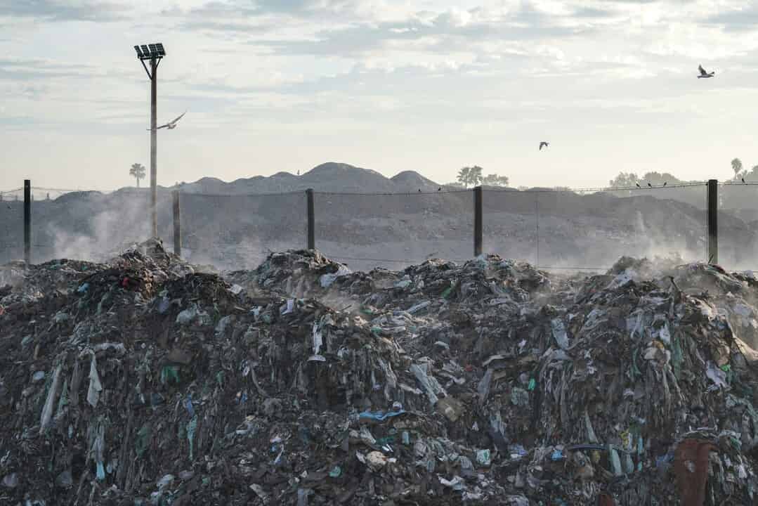 Warren County and the Birth of Environmental Justice: From Local ...