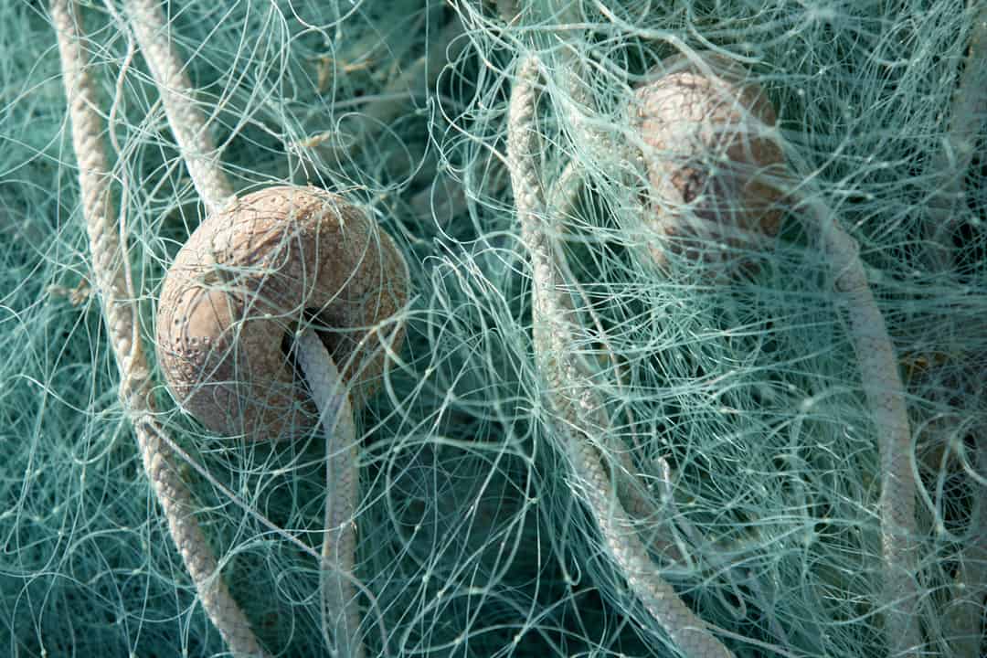 How the digital economy significantly enhances the resilience of ...