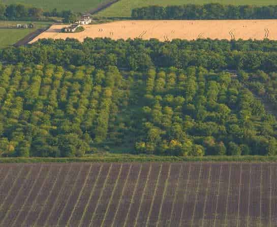 Implications of Alternative Land Conversion Cost Specifications on ...
