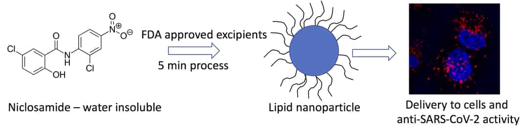 Lipid nanoparticle formulation of niclosamide (nano NCM) effectively ...