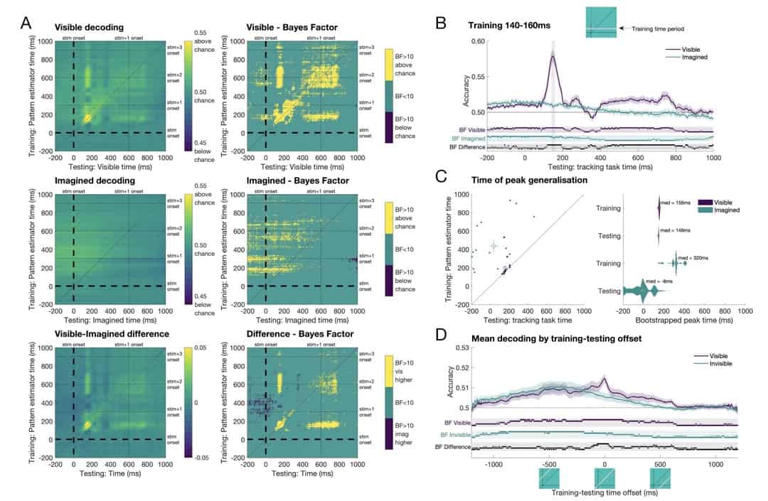 Overlapping neural representations for the position of visible and ...