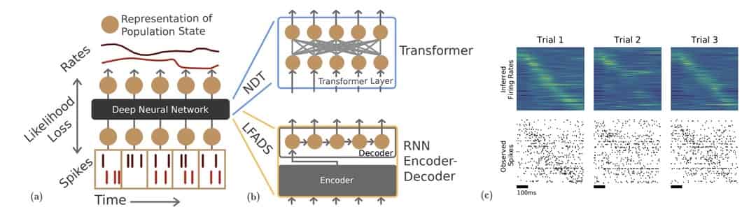 Representation learning for neural population activity with Neural Data Transformers | Published ...