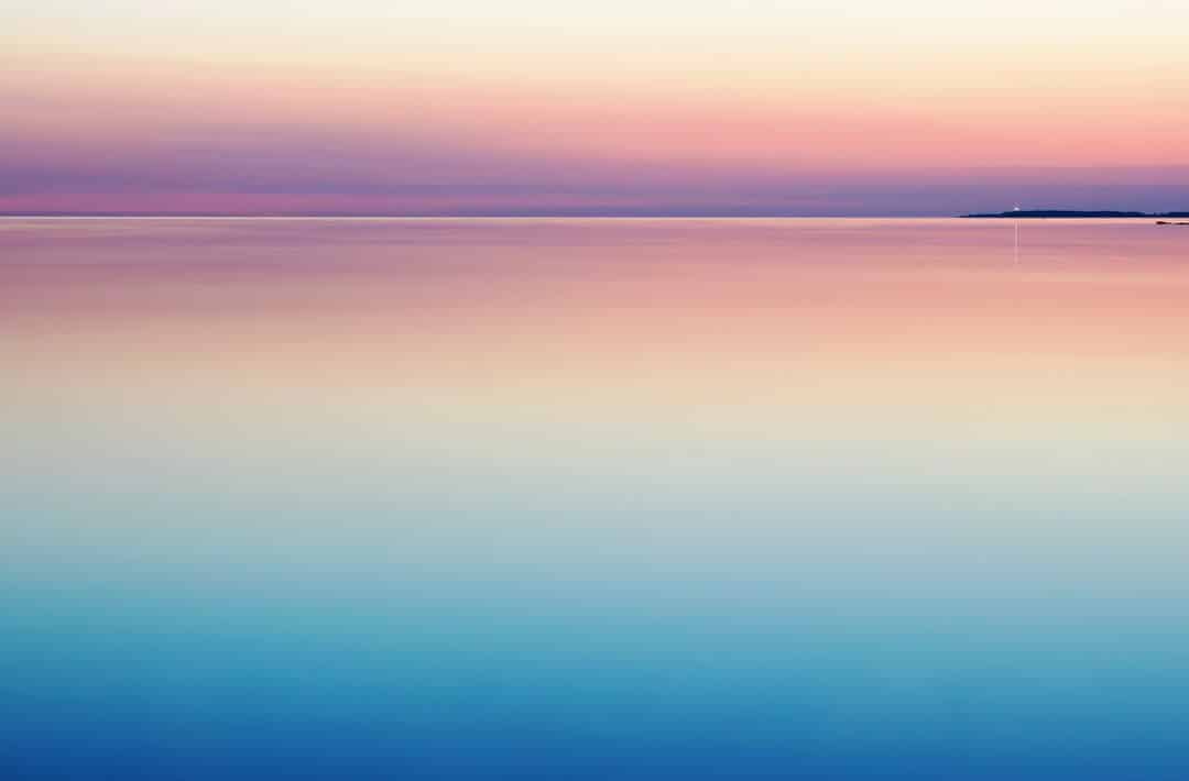 The Effect of Nonlexical Verbal Signals on the Perceived Authenticity ...